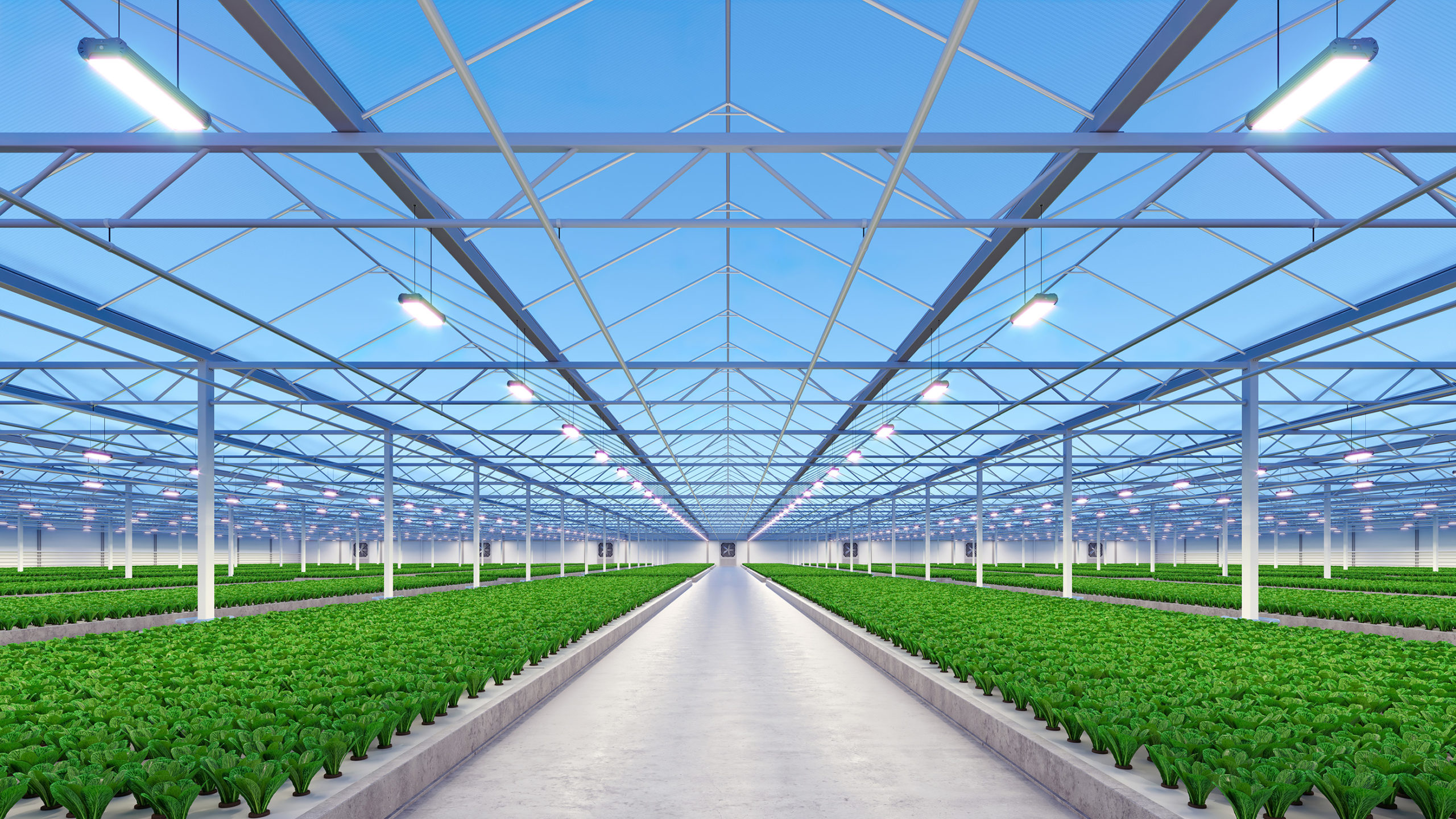 Greenhouse Automation Expertise | Gold Leaf